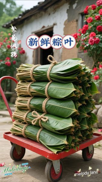 新鲜粽叶怎么煮_粽叶煮多久才软-第2张图片-山城妙识 新鲜粽叶怎么煮_粽叶煮多久才软-第2张图片-山城妙识