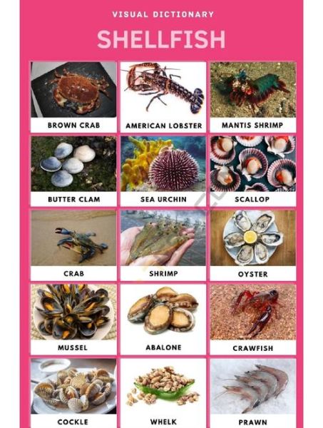 how_to_cook_shrimp_perfectly_shrimp_vs_prawn_difference-第2张图片-山城妙识 how_to_cook_shrimp_perfectly_shrimp_vs_prawn_difference-第2张图片-山城妙识