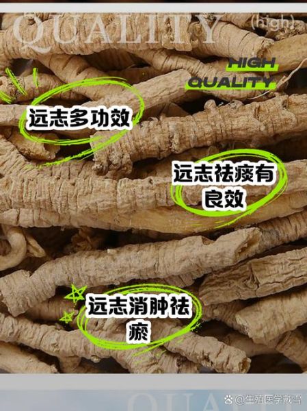 炙远志的功效与作用_炙远志怎么吃效果最好-第3张图片-山城妙识