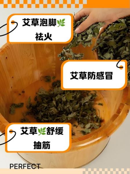 女性长期用艾草泡脚好吗_艾草泡脚对子宫的影响-第1张图片-山城妙识