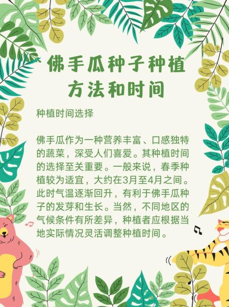 佛手瓜发芽了怎么种_佛手瓜发芽后多久能移栽-第3张图片-山城妙识 佛手瓜发芽了怎么种_佛手瓜发芽后多久能移栽-第3张图片-山城妙识