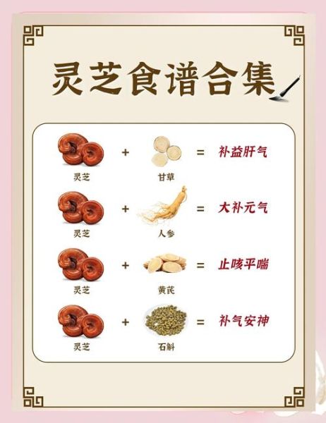 灵芝怎么吃效果最好_灵芝的正确吃法一天吃几次-第1张图片-山城妙识