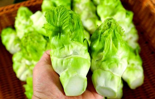 美容养颜的蔬菜有哪些_哪些蔬菜最抗衰老-第2张图片-山城妙识