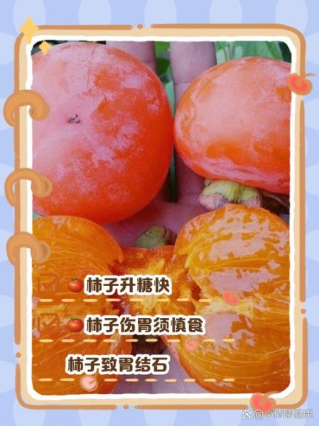 柿子吃多了有什么坏处_空腹吃柿子会结石吗-第1张图片-山城妙识