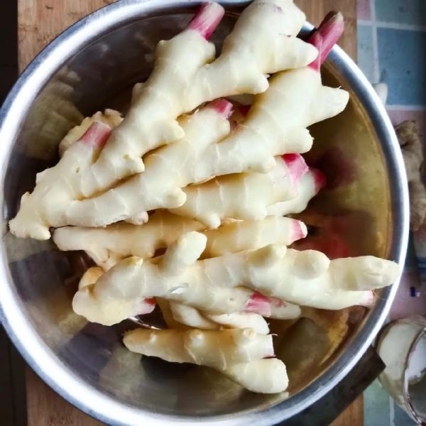 嫩姜怎么腌制好吃_嫩姜腌制方法大全-第2张图片-山城妙识