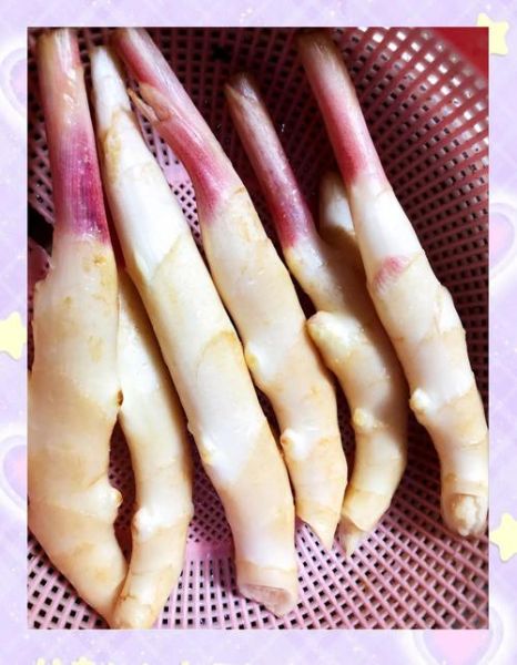嫩姜怎么腌制好吃_嫩姜腌制方法大全-第3张图片-山城妙识