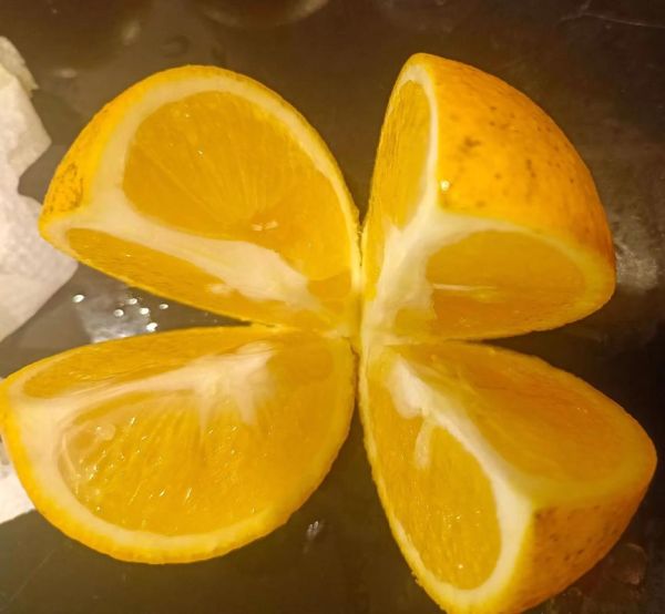 香橙怎么保存不会坏_香橙可以放多久-第1张图片-山城妙识