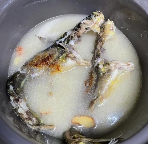 黄骨鱼汤的营养价值_黄骨鱼汤的功效与作用-第2张图片-山城妙识