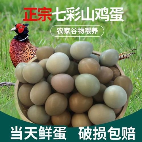 七彩山鸡蛋多少钱一斤_七彩山鸡蛋营养价值-第1张图片-山城妙识