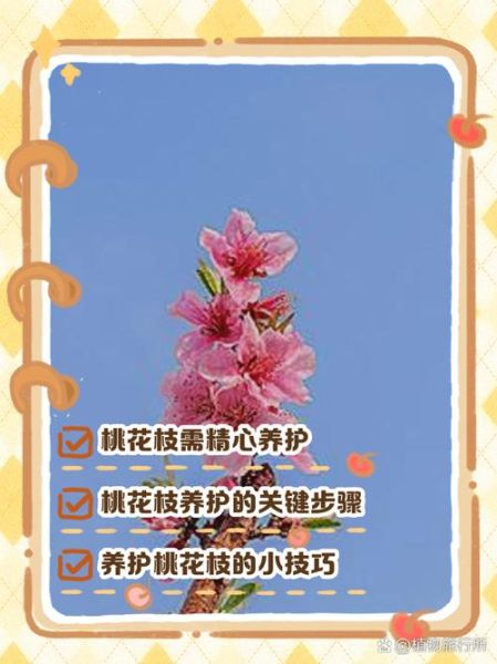 花枝app怎么玩_花枝app靠谱吗-第1张图片-山城妙识 花枝app怎么玩_花枝app靠谱吗-第1张图片-山城妙识