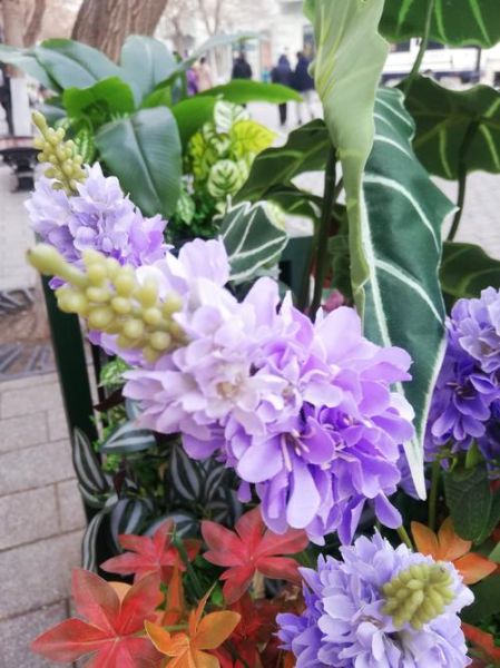 花枝app怎么玩_花枝app靠谱吗-第3张图片-山城妙识 花枝app怎么玩_花枝app靠谱吗-第3张图片-山城妙识