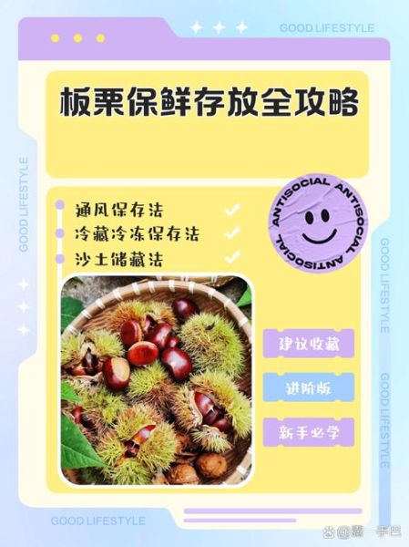 栗子怎么保存不会坏_栗子可以放冰箱吗-第1张图片-山城妙识 栗子怎么保存不会坏_栗子可以放冰箱吗-第1张图片-山城妙识