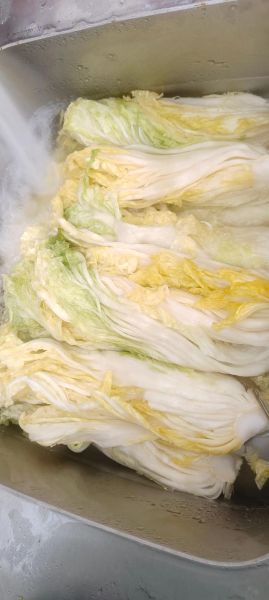 韩国泡菜大白菜做法_正宗视频教程-第3张图片-山城妙识