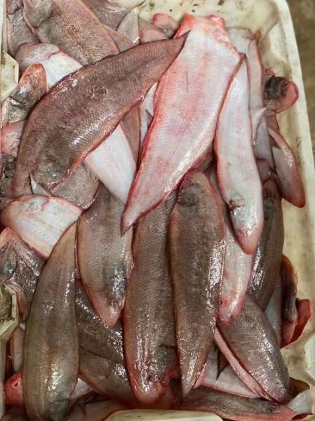 龙利鱼多少钱一斤2020_龙利鱼价格走势-第3张图片-山城妙识