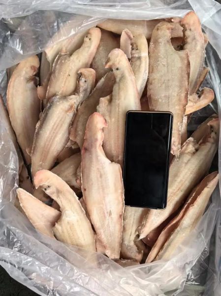 龙利鱼多少钱一斤2020_龙利鱼价格走势-第2张图片-山城妙识