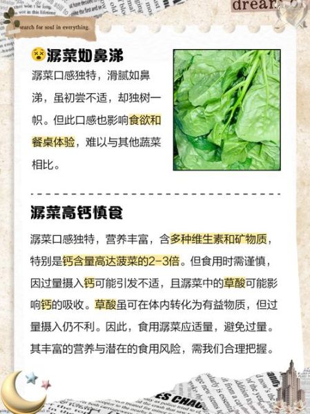 潺菜怎么种植_潺菜种植方法和时间-第1张图片-山城妙识