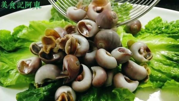 香螺煮多久才熟_香螺冷水下锅还是热水下锅-第3张图片-山城妙识