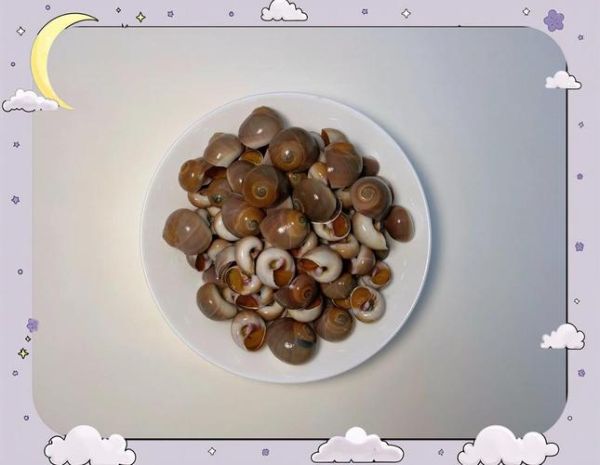 香螺煮多久才熟_香螺冷水下锅还是热水下锅-第1张图片-山城妙识