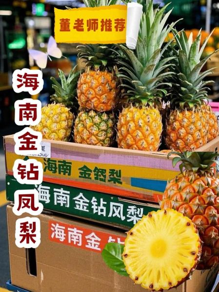 金菠萝是凤梨吗_区别与选购指南-第2张图片-山城妙识 金菠萝是凤梨吗_区别与选购指南-第2张图片-山城妙识