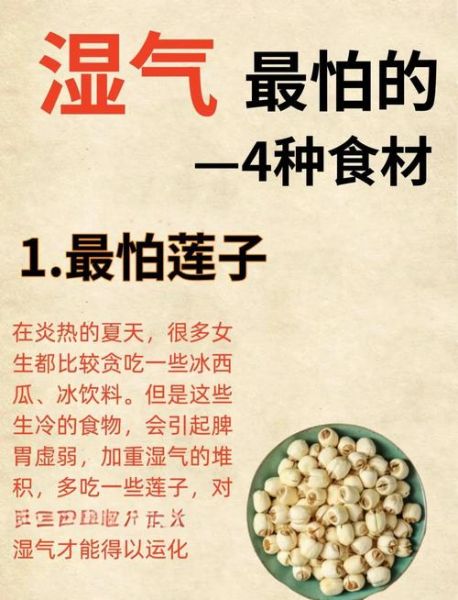 湿气的克星是什么_湿气重吃什么最快好-第1张图片-山城妙识 湿气的克星是什么_湿气重吃什么最快好-第1张图片-山城妙识