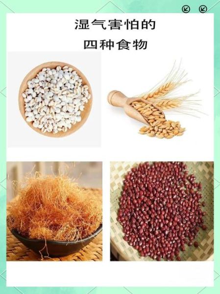 湿气的克星是什么_湿气重吃什么最快好-第2张图片-山城妙识 湿气的克星是什么_湿气重吃什么最快好-第2张图片-山城妙识