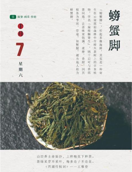 螃蟹脚茶怎么泡_螃蟹脚茶的功效与作用-第1张图片-山城妙识