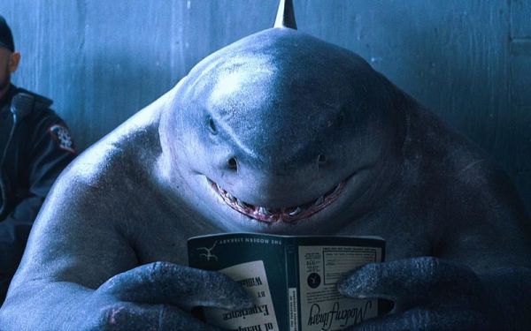 鲨鱼王是谁_鲨鱼王能力有多强-第1张图片-山城妙识