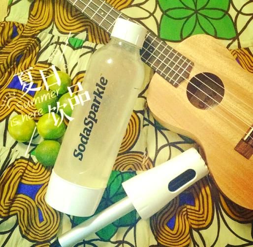 苏打水配方比例_自制苏打水怎么做-第3张图片-山城妙识 苏打水配方比例_自制苏打水怎么做-第3张图片-山城妙识