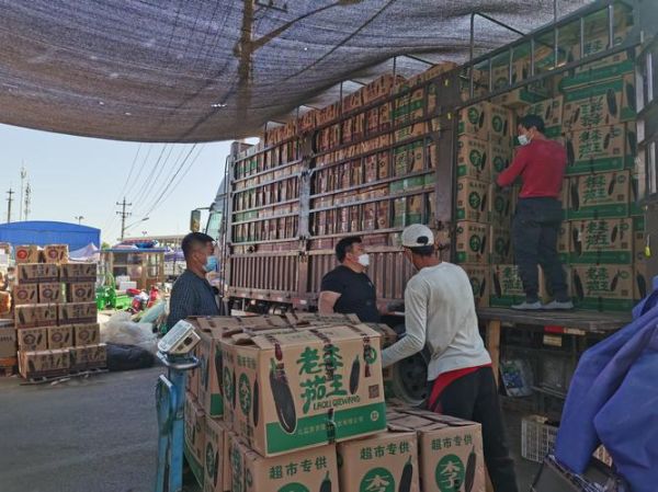 蔬菜批发赚钱吗_蔬菜批发利润怎么样-第3张图片-山城妙识