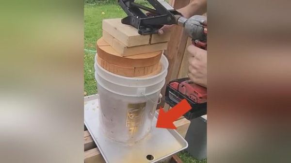 葡萄酒怎么酿_葡萄酒制作视频全过程-第2张图片-山城妙识