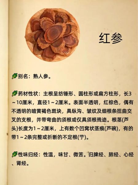 红参适合什么人吃_红参的功效与作用适合哪些人-第3张图片-山城妙识