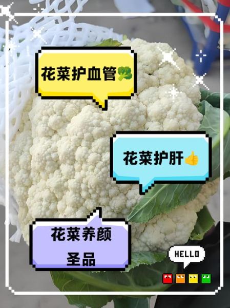 香花菜孕妇能吃吗_香花菜的功效与作用-第1张图片-山城妙识 香花菜孕妇能吃吗_香花菜的功效与作用-第1张图片-山城妙识