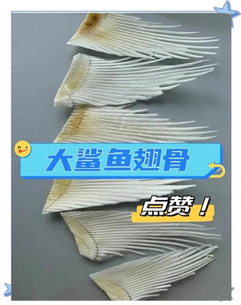 鲨鱼鱼翅多少钱一斤_鱼翅价格为什么这么贵-第2张图片-山城妙识