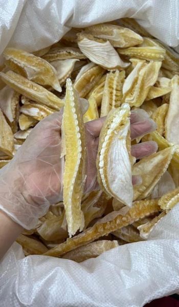 鲨鱼鱼翅多少钱一斤_鱼翅价格为什么这么贵-第3张图片-山城妙识