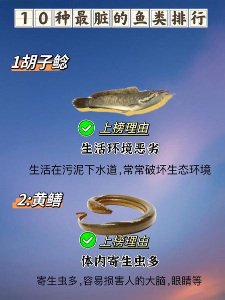 中国十大最脏鱼有哪些_如何挑选干净淡水鱼-第1张图片-山城妙识
