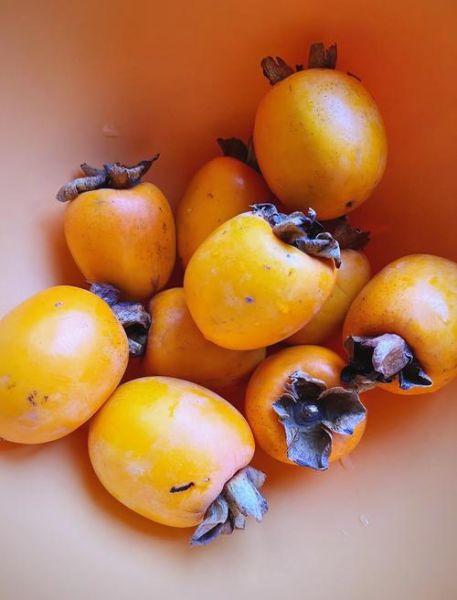 自制柿子干的做法_如何保存不返潮-第1张图片-山城妙识