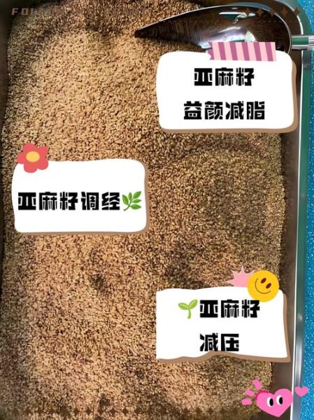 亚麻子的功效与作用_亚麻子怎么吃效果最好-第3张图片-山城妙识 亚麻子的功效与作用_亚麻子怎么吃效果最好-第3张图片-山城妙识