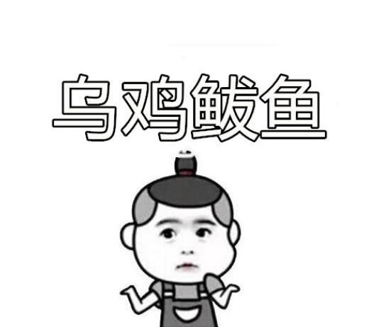 乌鸡鲅鱼是什么意思_网络用语乌鸡鲅鱼来源-第1张图片-山城妙识