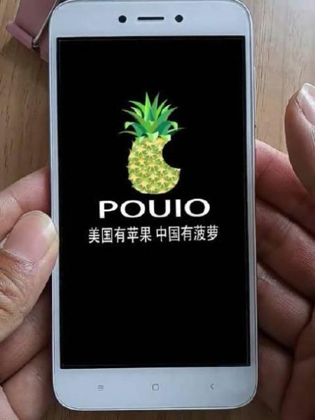 菠萝手机真的存在吗_菠萝手机是哪家公司生产的-第1张图片-山城妙识