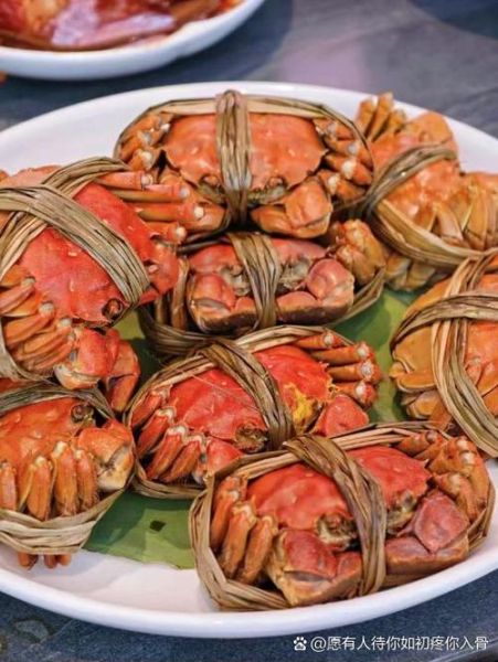 阳澄湖属于哪个市_阳澄湖在哪个省-第3张图片-山城妙识