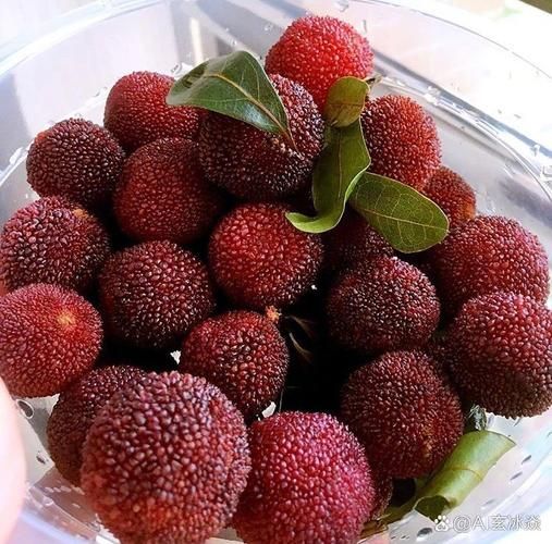杨梅怎么吃_杨梅怎么保存-第3张图片-山城妙识