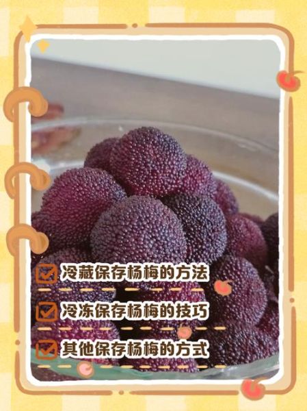 杨梅怎么吃_杨梅怎么保存-第1张图片-山城妙识