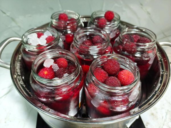 杨梅怎么吃_杨梅怎么保存-第2张图片-山城妙识