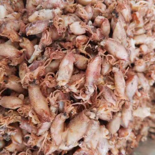 乌贼怎么处理干净_乌贼清洗内脏图解-第3张图片-山城妙识 乌贼怎么处理干净_乌贼清洗内脏图解-第3张图片-山城妙识