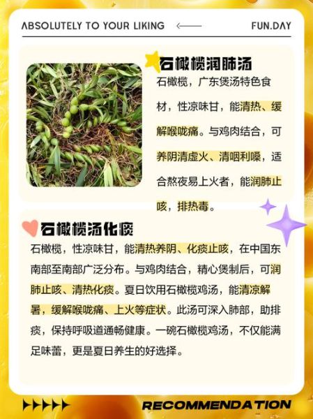 石橄榄炖汤禁忌_孕妇能吃吗-第1张图片-山城妙识 石橄榄炖汤禁忌_孕妇能吃吗-第1张图片-山城妙识