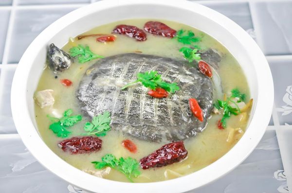 甲鱼怎么烧好吃又营养_甲鱼汤做法视频-第2张图片-山城妙识