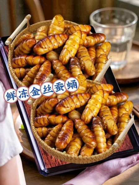 蚕蛹可以冷冻储藏吗_冷冻蚕蛹的正确方法-第1张图片-山城妙识