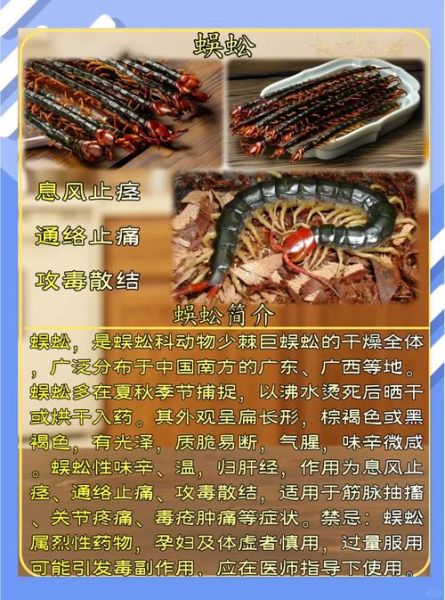 蜈蚣的功效与作用_蜈蚣能治哪些病-第1张图片-山城妙识