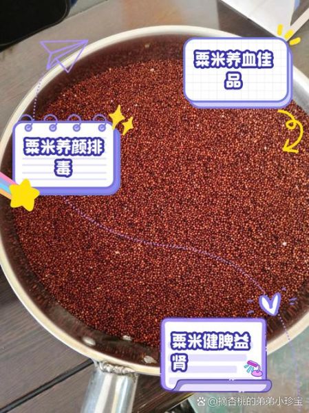 粟米和小米的区别_粟米是小米吗-第3张图片-山城妙识 粟米和小米的区别_粟米是小米吗-第3张图片-山城妙识