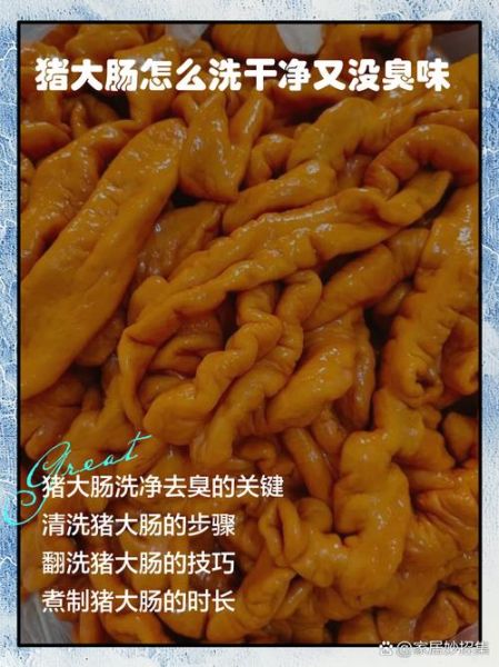 猪大肠怎么洗才不臭_猪大肠清洗去味方法-第1张图片-山城妙识